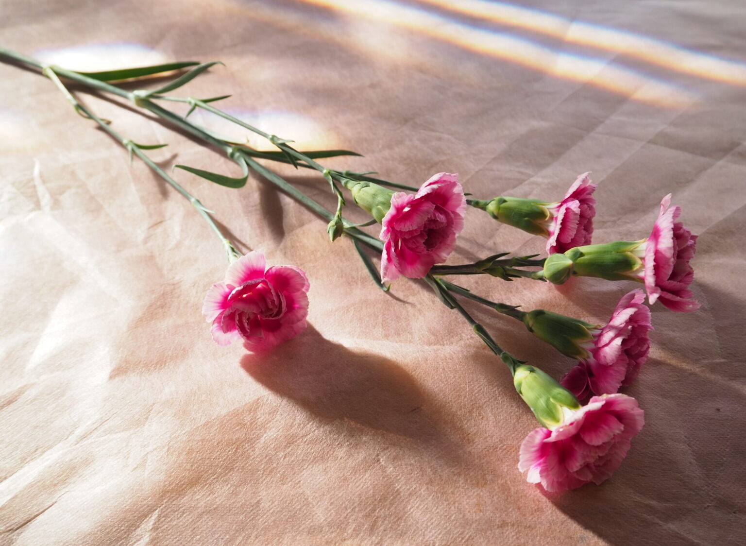 【フラワーアレンジメントの作り方】初心者さんにオススメ！「ラウンドアレンジメント」 - Happy flower Momo